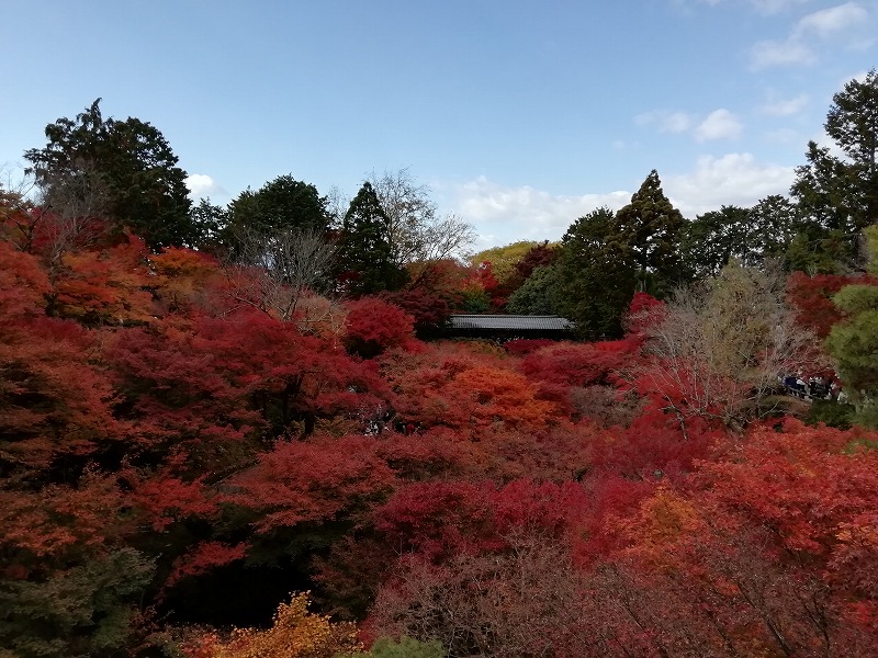 JALと住友商事、インバウンド向け衣料シェアリング実証実験 | newsclip.be