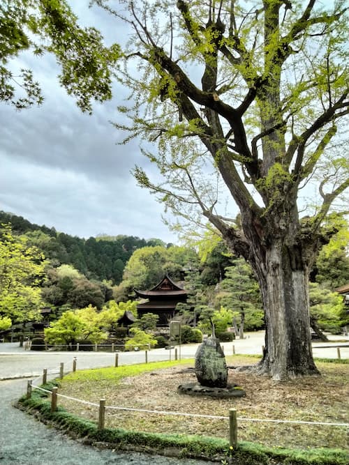 1〜3月のタイ人訪日7％減、32.4万人 | newsclip.be