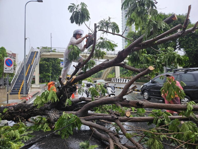 30 | 6月 | 2025 | newsclip.be